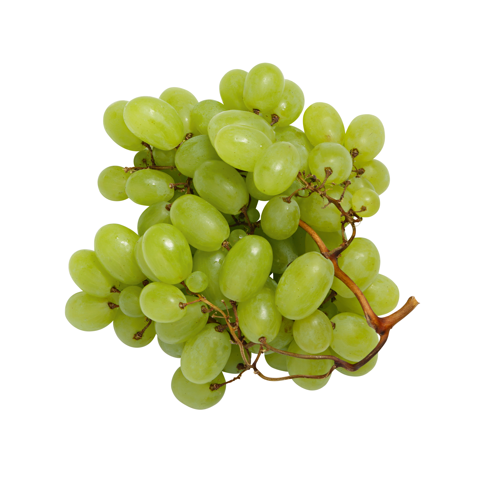 BIO Trauben weiss 500g | ALDI-now