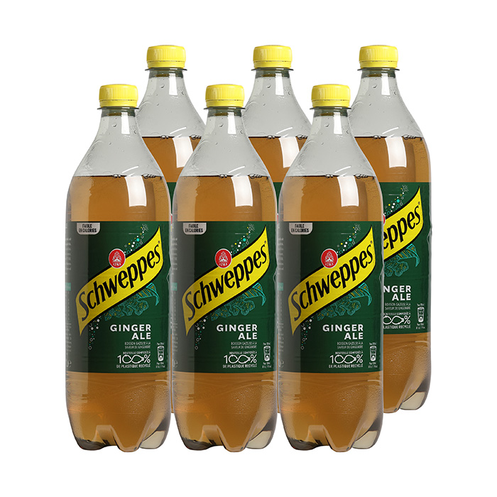 SCHWEPPES The Original Ginger Ale, pack de 6 | ALDI-now